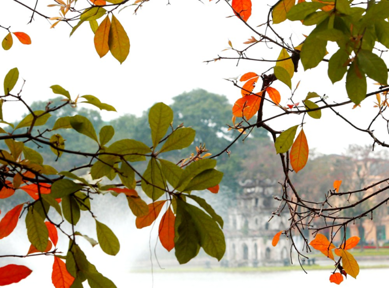 TRAVEL GUIDE TO HA NOI CITY FOR THE FIRST TIME – SAIGON TASTE Tours ...