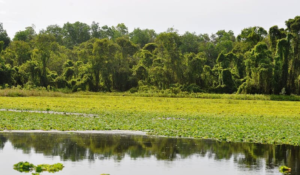 TRAVEL GUIDE TO LONG AN: ALL YOU NEED TO KNOW BEFORE VISIT LONG AN ...